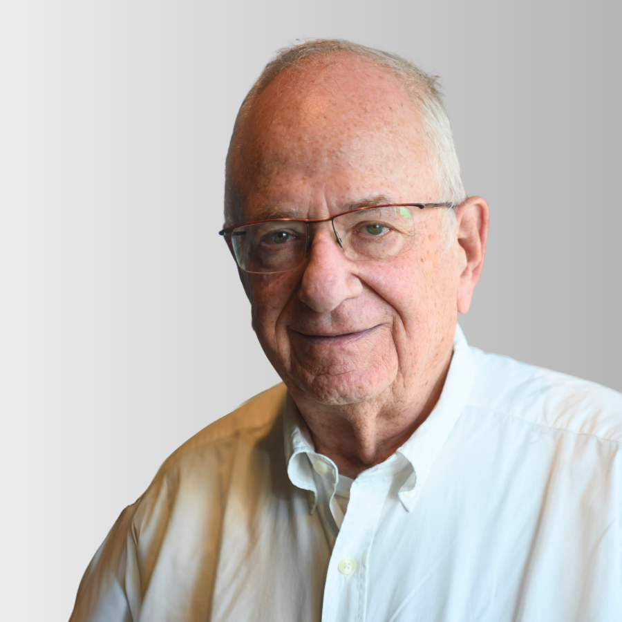 Home Page - קבוצת לודן MEP